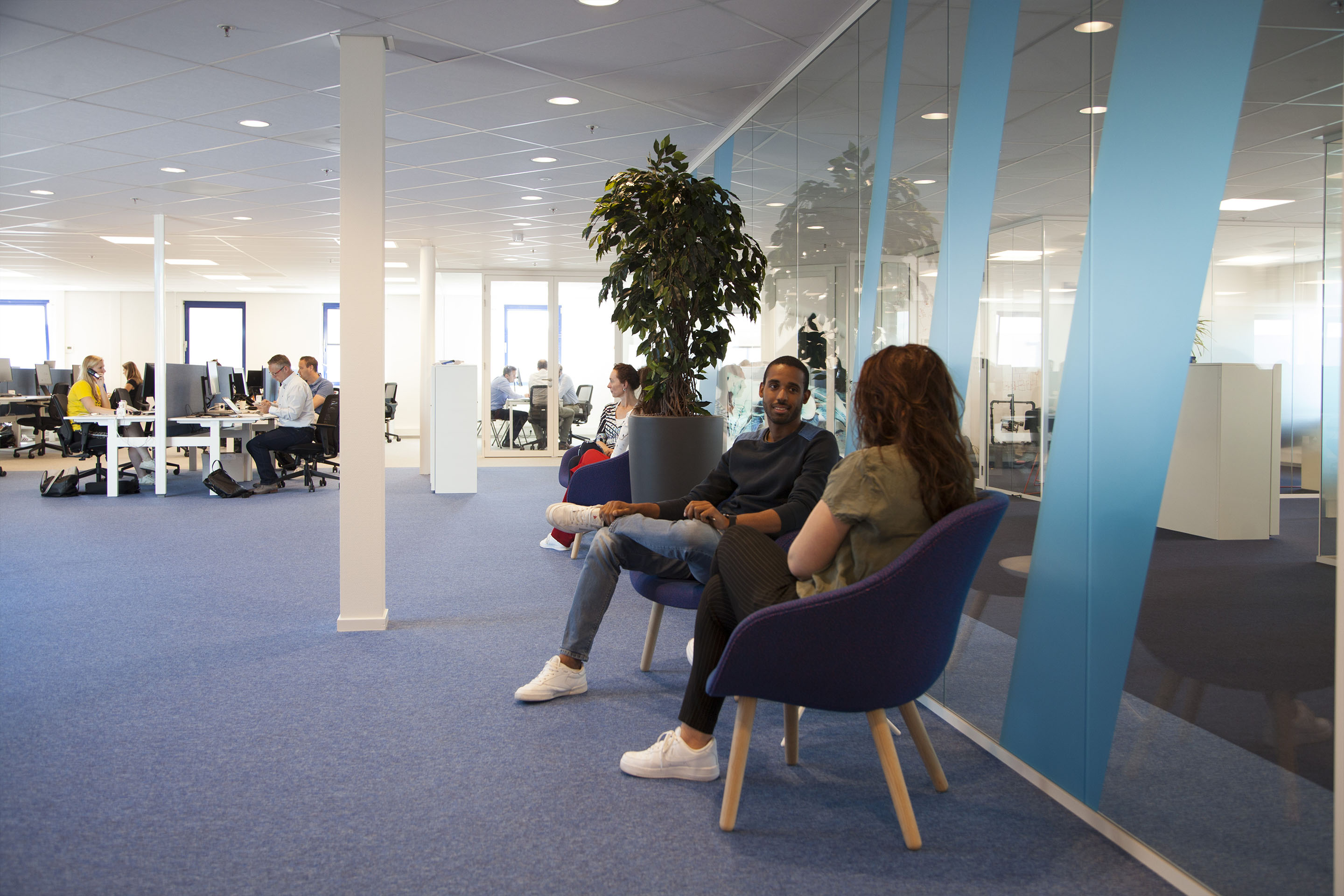 Digital Testing Coordinator | Action
