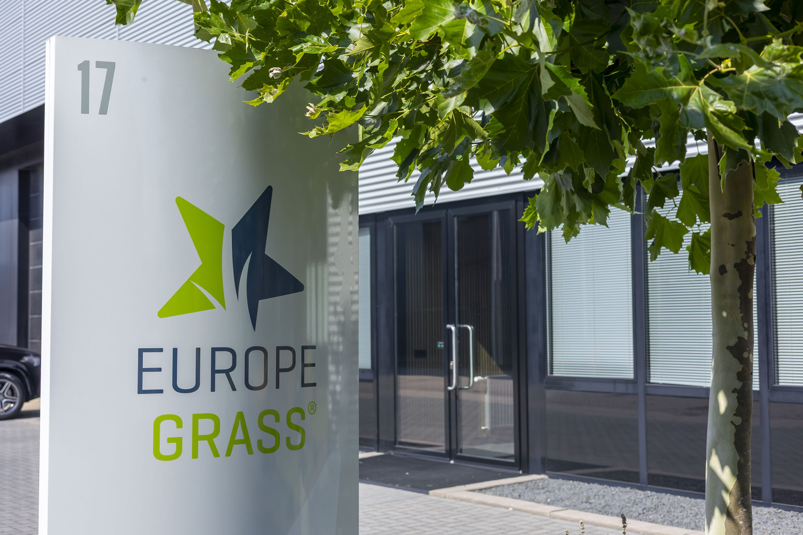 Europe Grass
